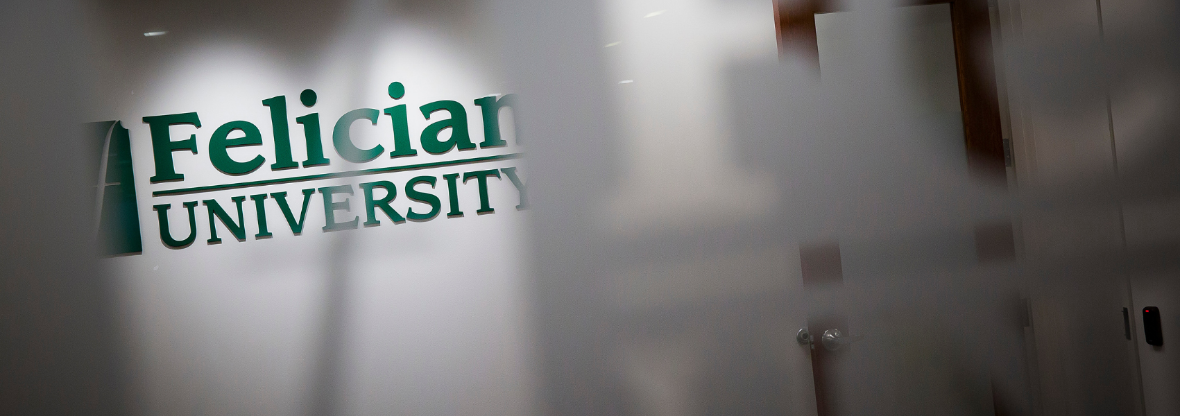 CFIPS Proudly Launches WiBD NJ Chapter on International Women's Day ...