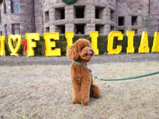 Welcome to Felician University - Felician University of New Jersey