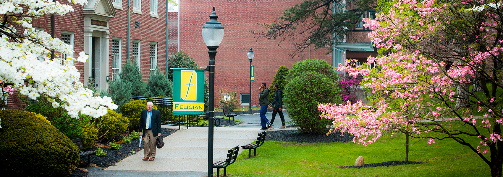 Statement on the Death of Centenary University’s Jeanne Murphy ...
