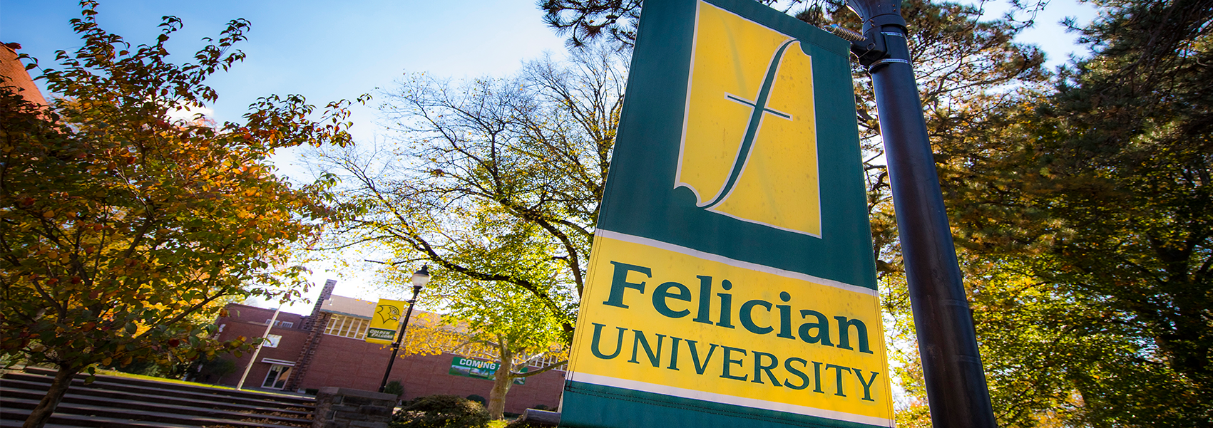 Women’s Leadership Initiative Features Felician University Athletics ...